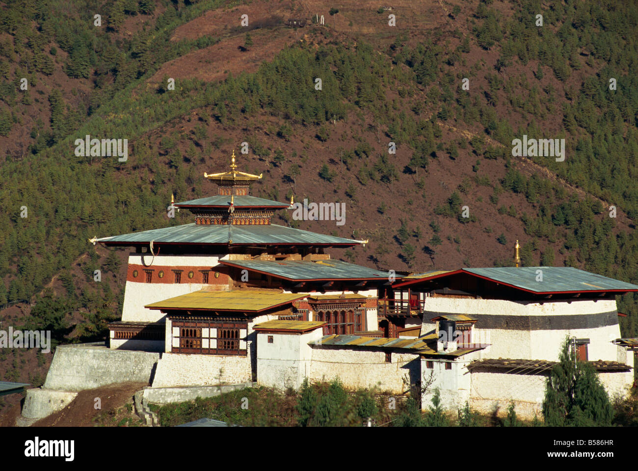 Thimpu Dzong, Thimpu, Bhutan Stock Photo - Alamy