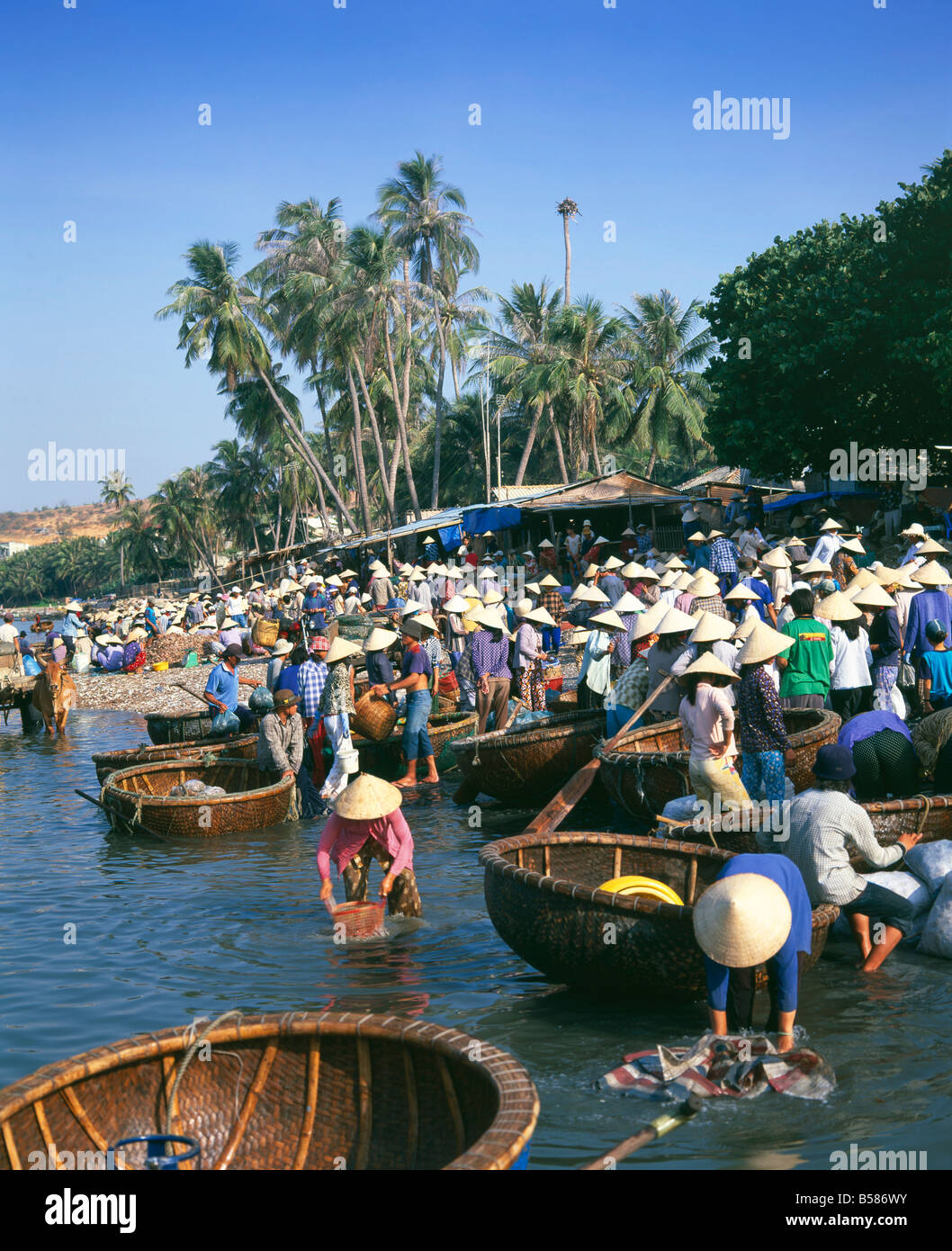 Fishing village people collecting the morning catch from fishing boat ...