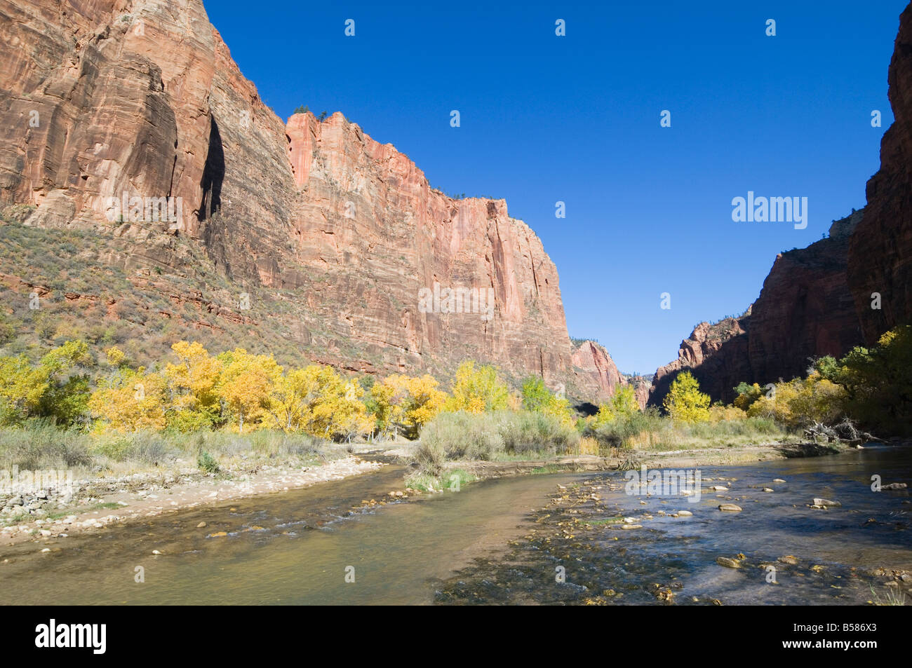 Zion National Park, Utah, United States of America, North America Stock ...