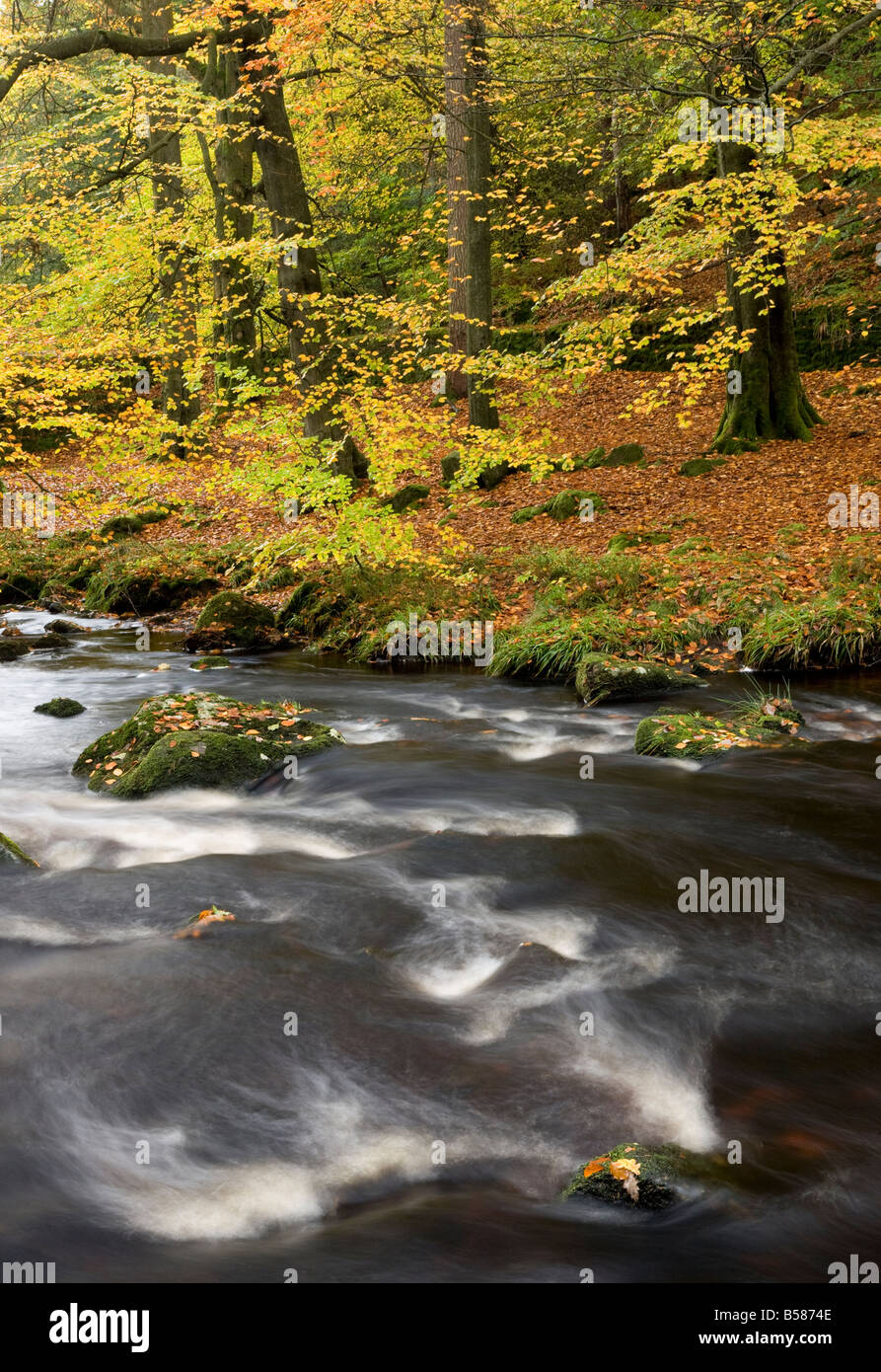 Hebden water running through Hebden Dale near Hebden Bridge Stock Photo ...
