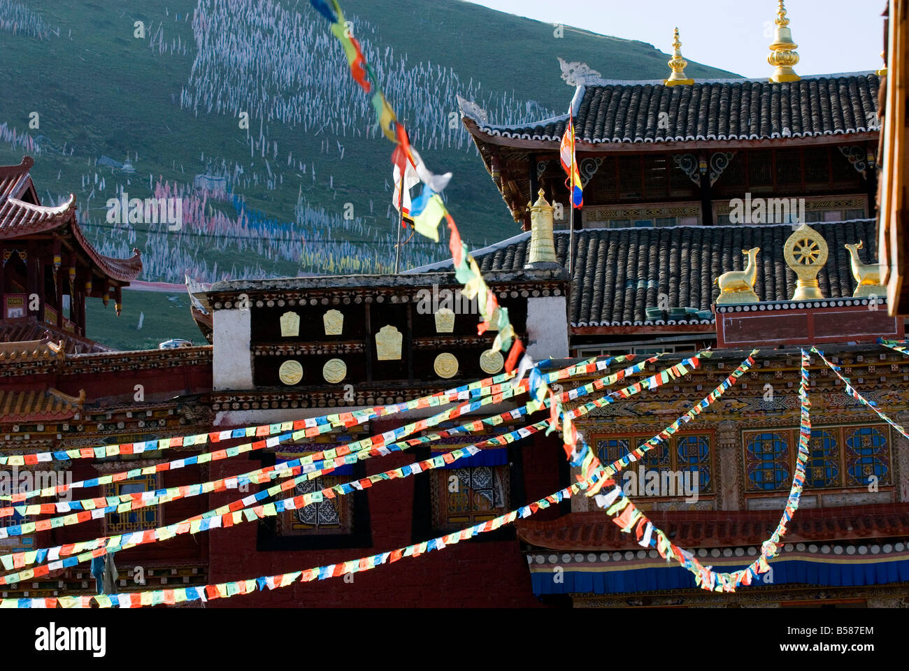 Prayer flags, Tagong Buddhist Temple, Tagong, Sichuan, China, Asia ...