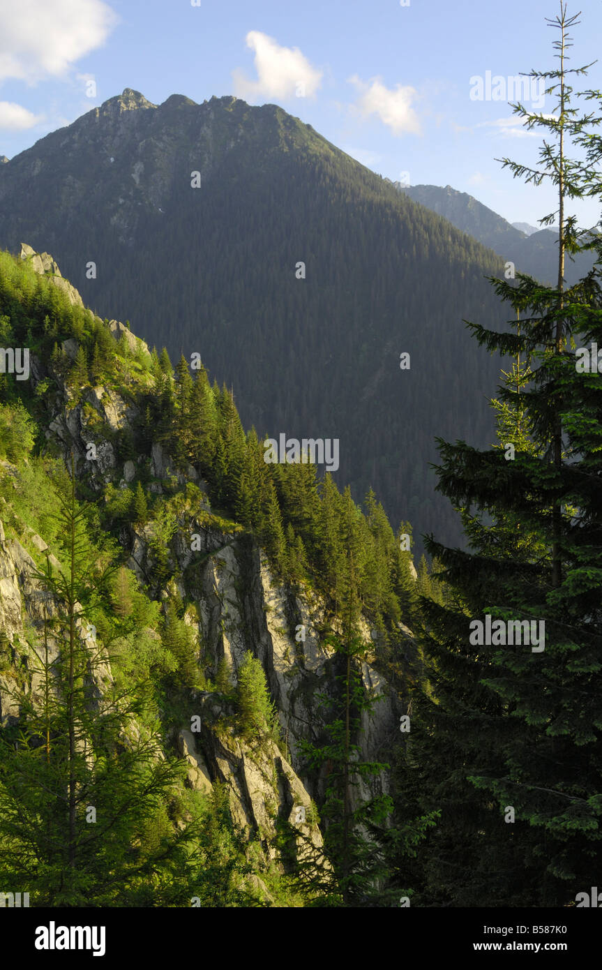 Transylvanian alps hi-res stock photography and images - Alamy