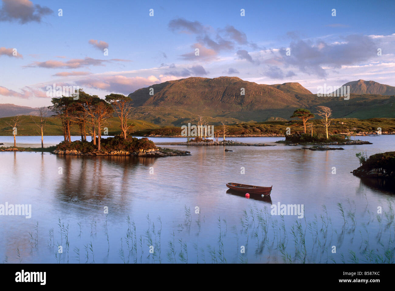 Loch Assynt, boat and Scots pines, North West Highlands, Highland ...