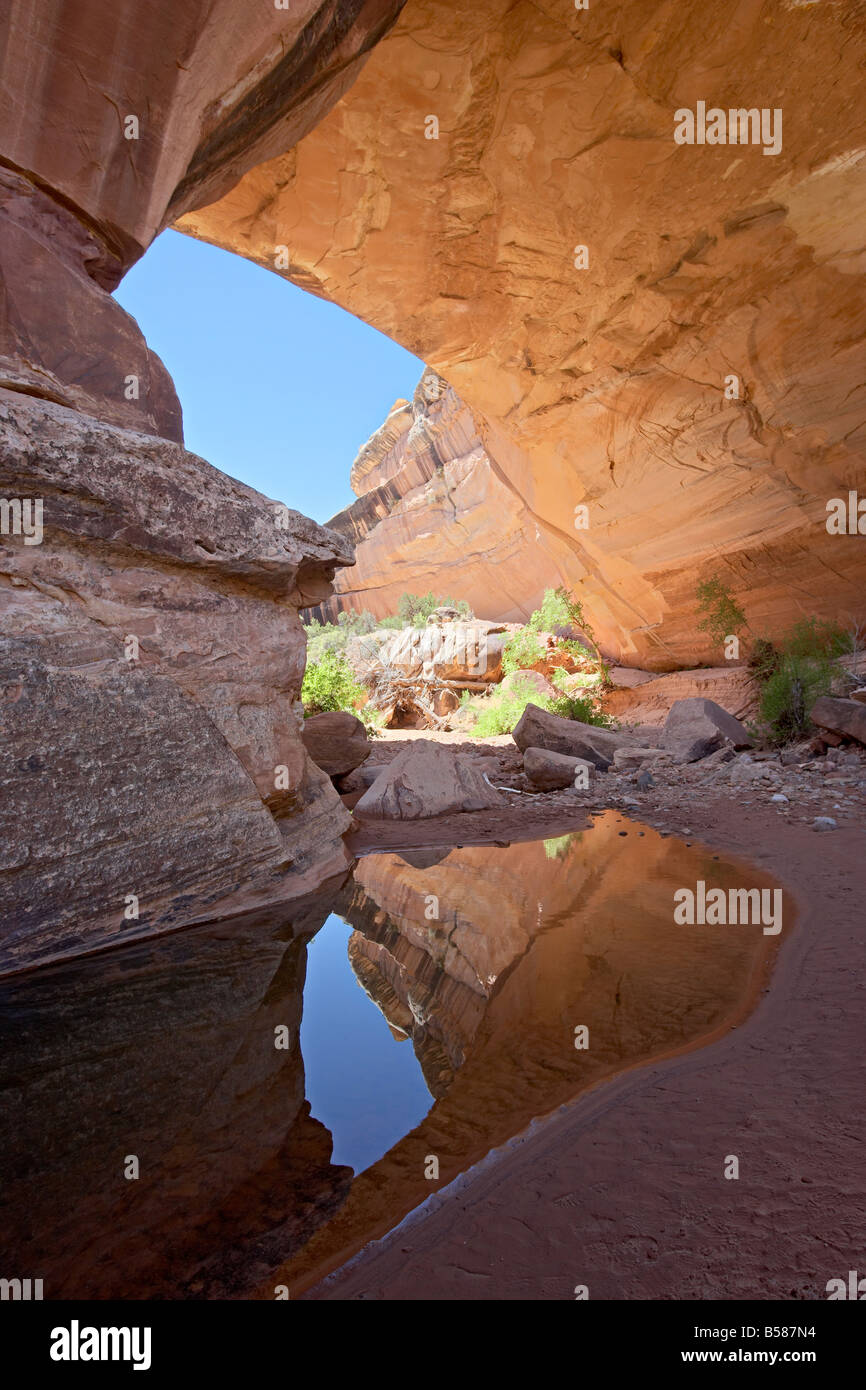 Kachina Natural Bridge, Natural Bridges National Monument, Utah, United ...