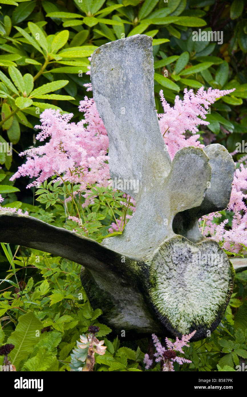 Whale bone in garden, City of Torshavn, Faroe Islands (Faeroes ...
