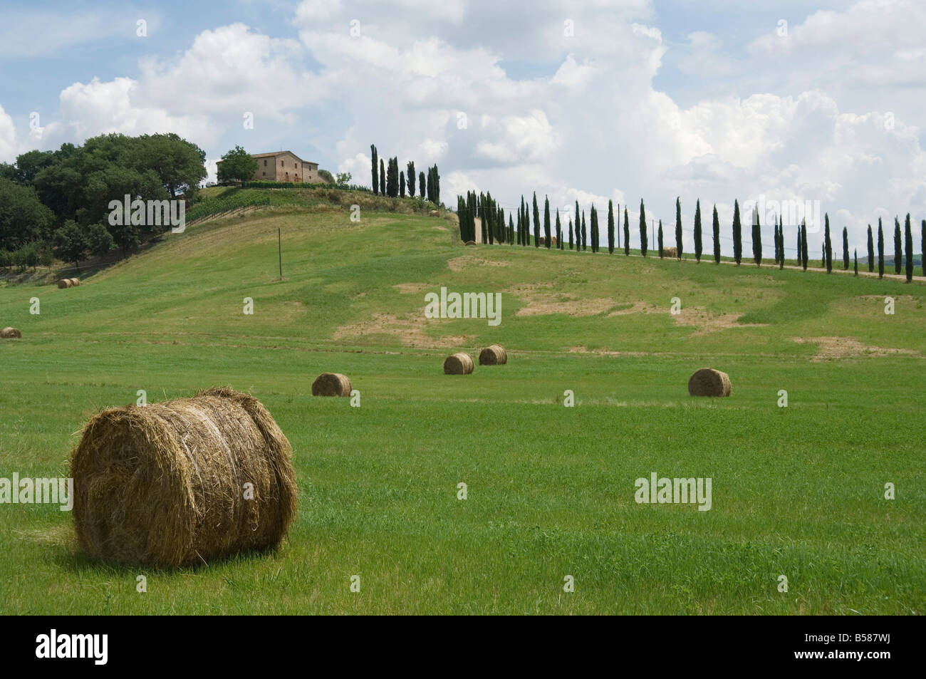Typical view of the Tuscan landscape, Le Crete (The Crete), Tuscany ...