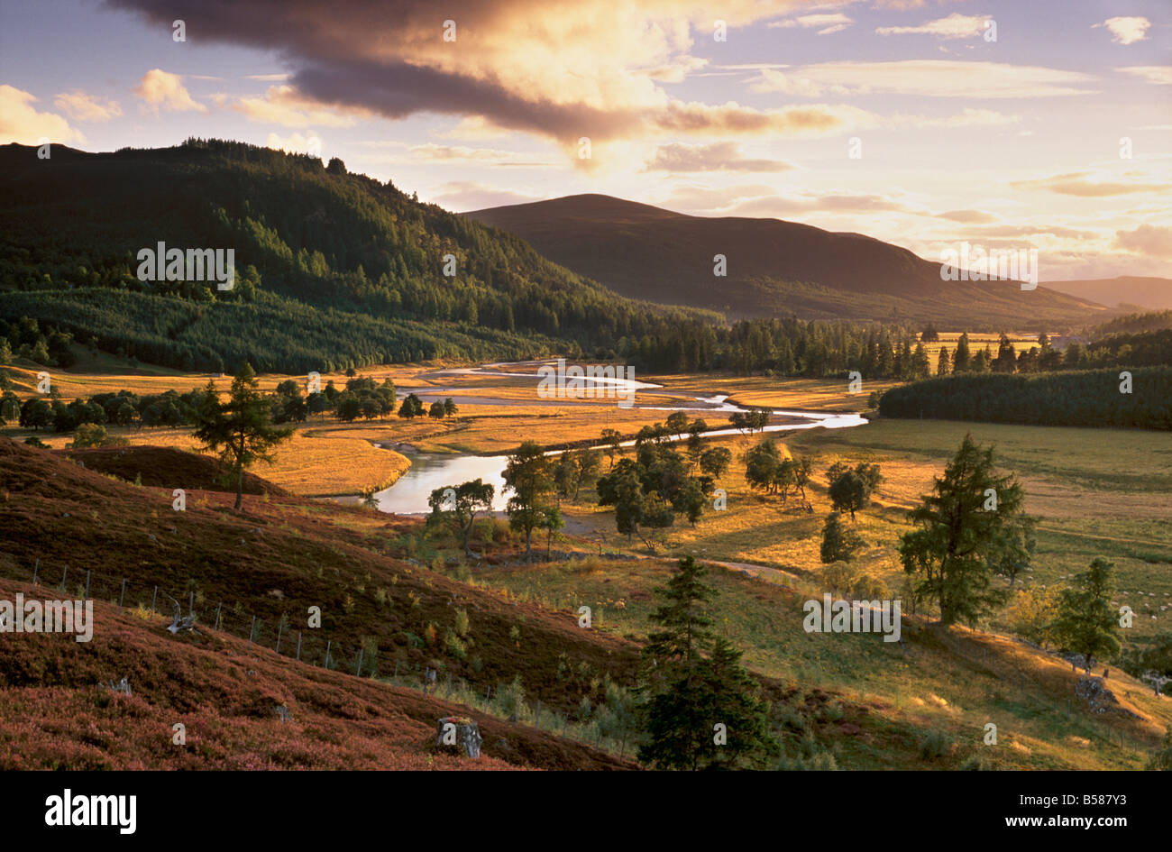 Upper dee val hi-res stock photography and images - Alamy