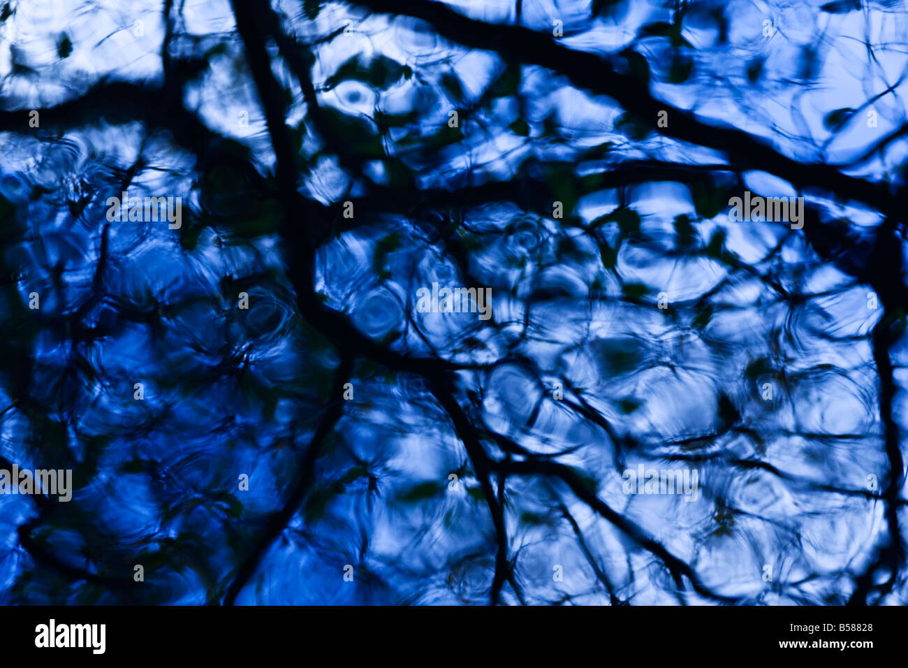 Reflections woodland hi-res stock photography and images - Alamy