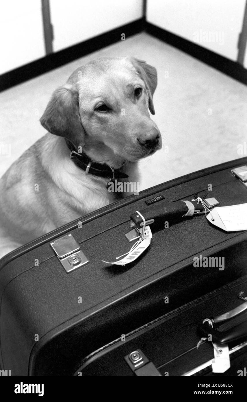 Chumley Black and White Stock Photos & Images - Alamy