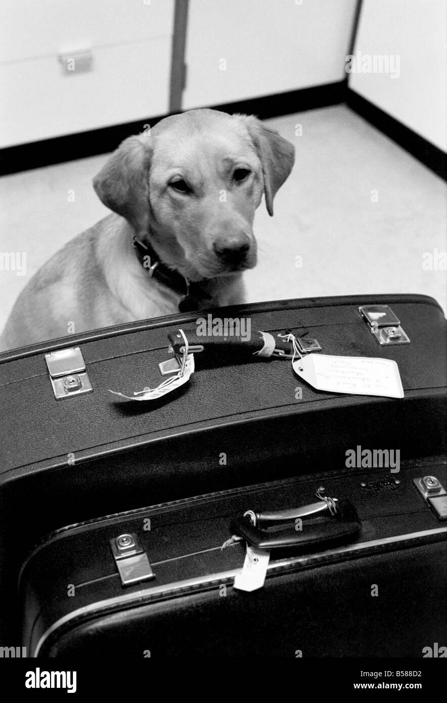 Chumley Black and White Stock Photos & Images - Alamy