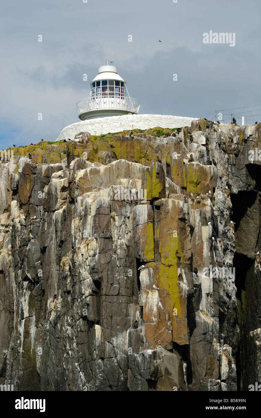 Inner Farne lighthouse, Farne Islands, Northumberland, England Stock ...