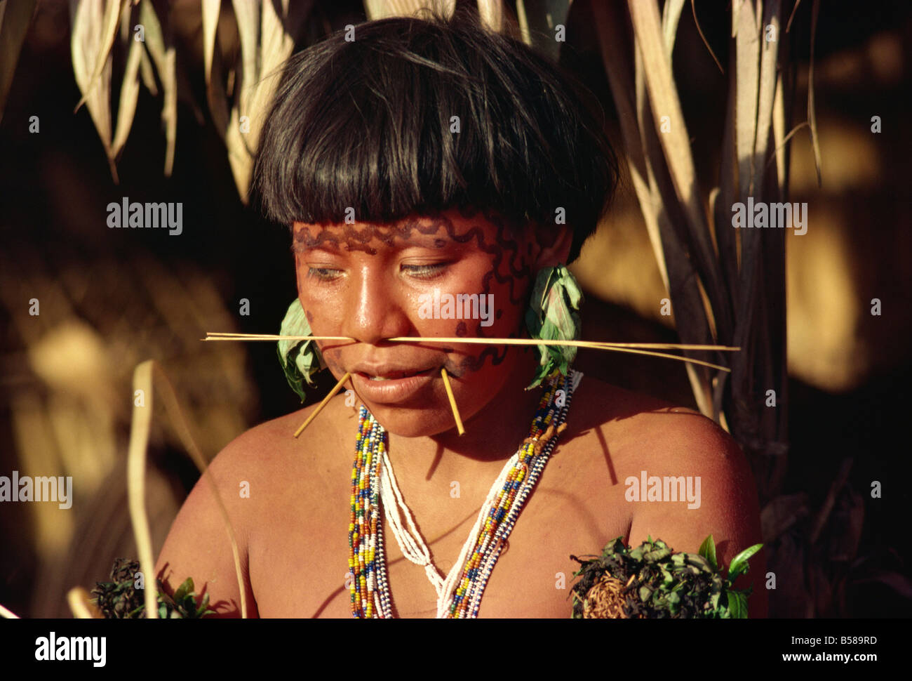 Yanomami hi-res stock photography and images - Alamy