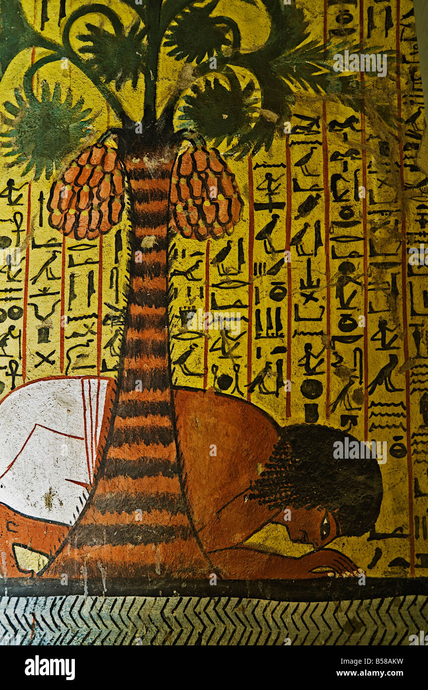 Egypt palm tree wall hi-res stock photography and images - Alamy