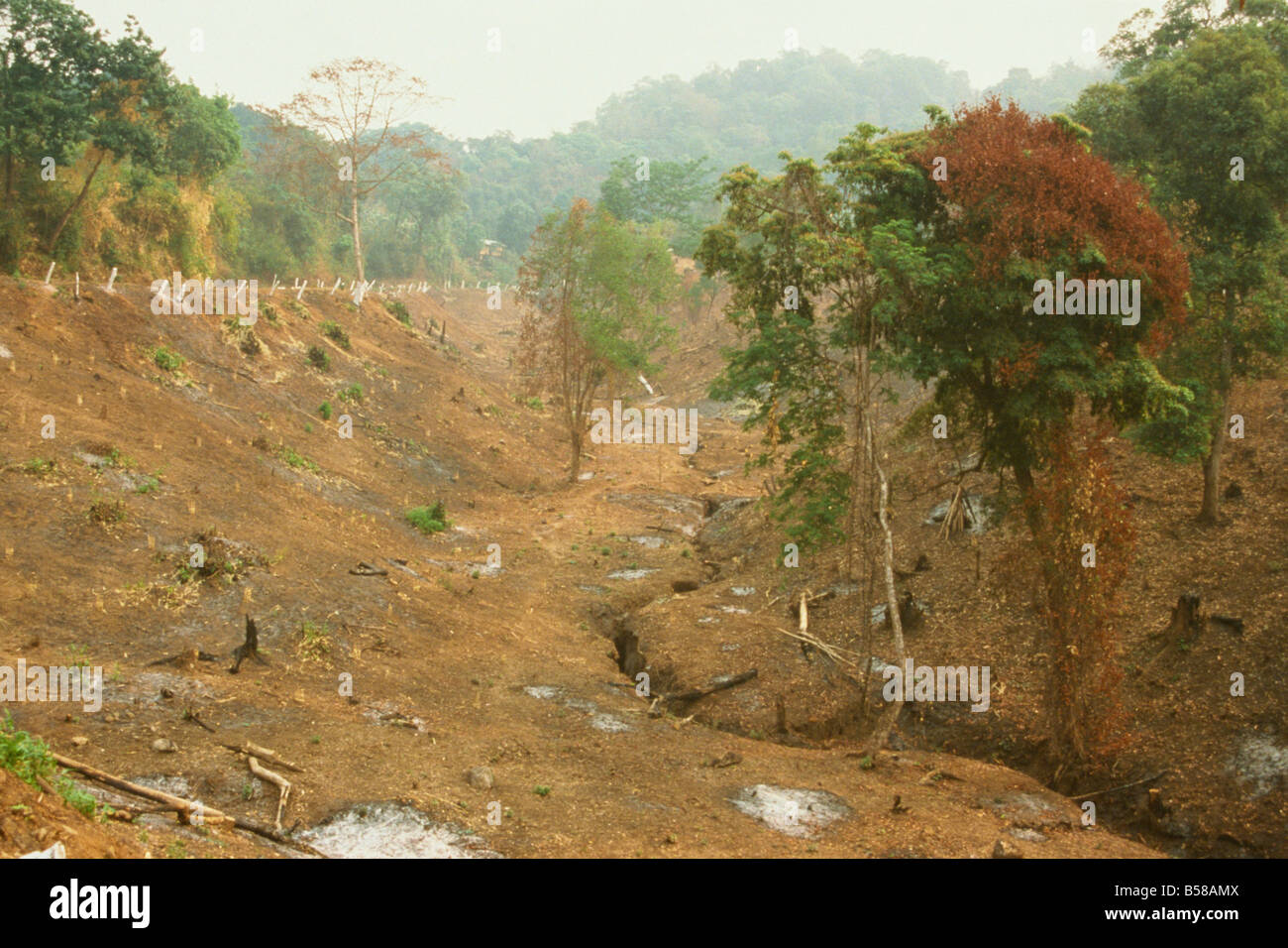 Deforestation for farmland cleared by slash and burn Mogok Hills ...
