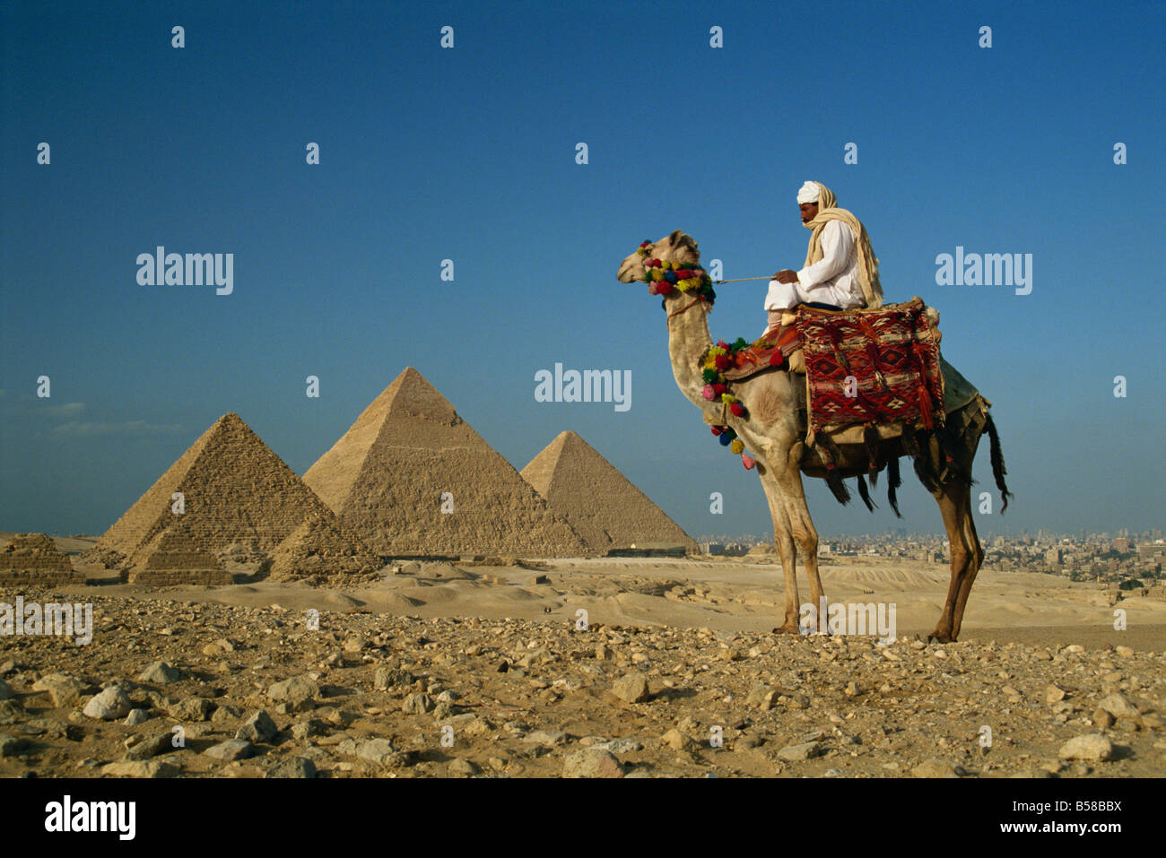 Camel with rider hi-res stock photography and images - Alamy