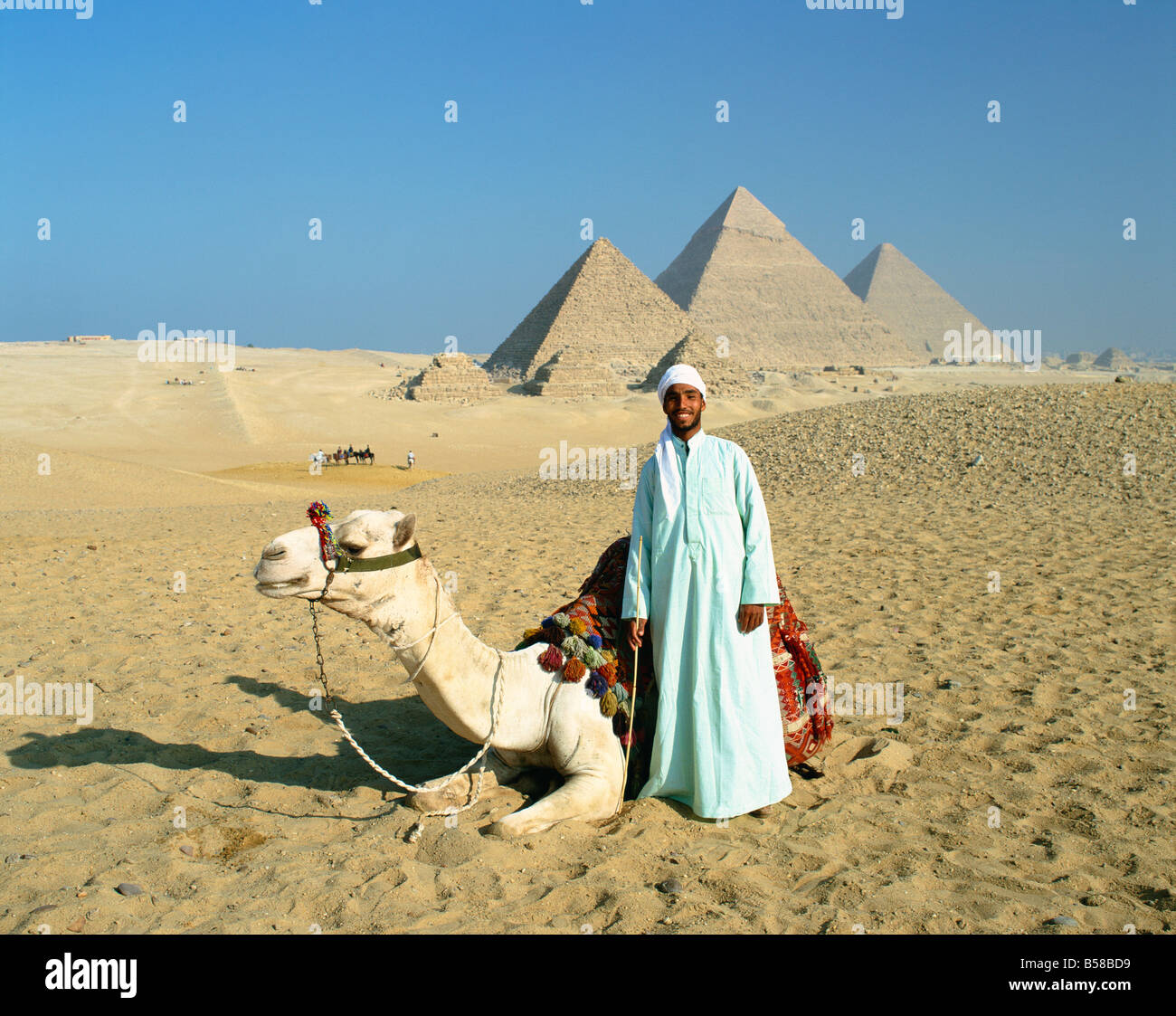 Camel and owner at Giza Pyramids Giza Cairo Egypt Africa N Francis ...