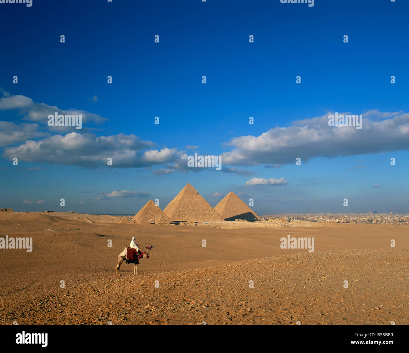 Camel rider at Giza Pyramids Giza Cairo Egypt Africa N Francis Stock ...