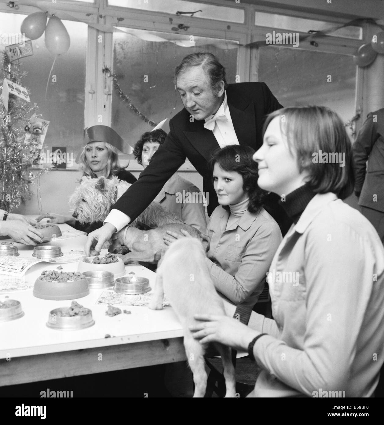 Dog Owners and their pets seen here having a Christmas party as actor ...