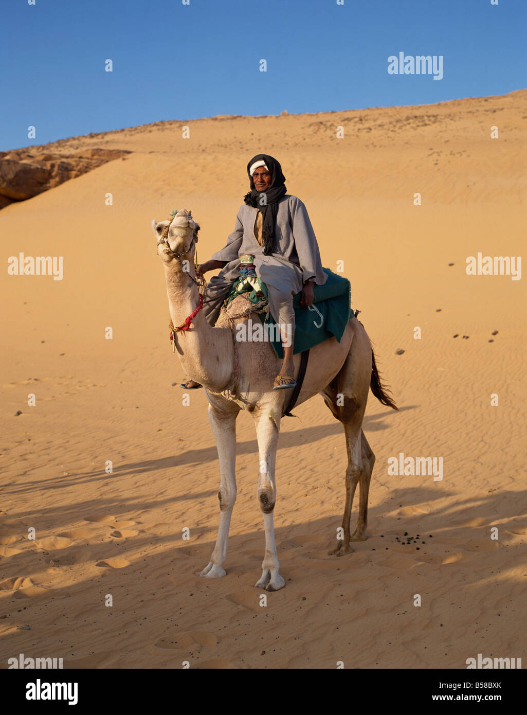 Camel rider near Aswan Egypt North Africa Africa Stock Photo - Alamy