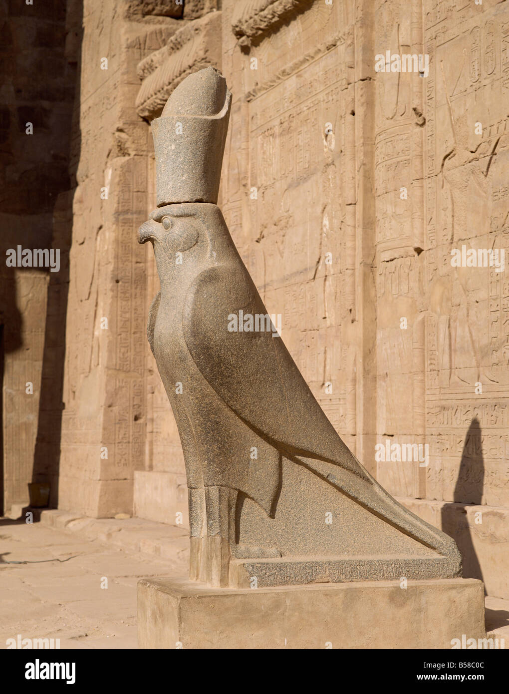 The Statue of Horus the falcon god at the Temple of Horus Edfu Egypt ...