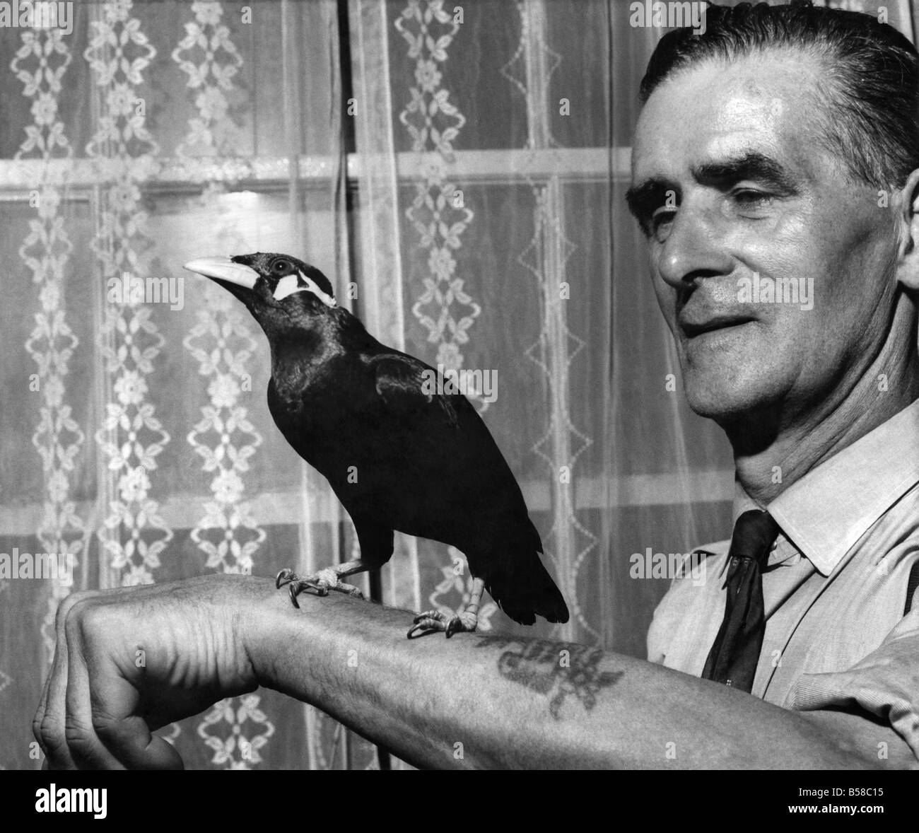 Henry bird Black and White Stock Photos & Images - Alamy