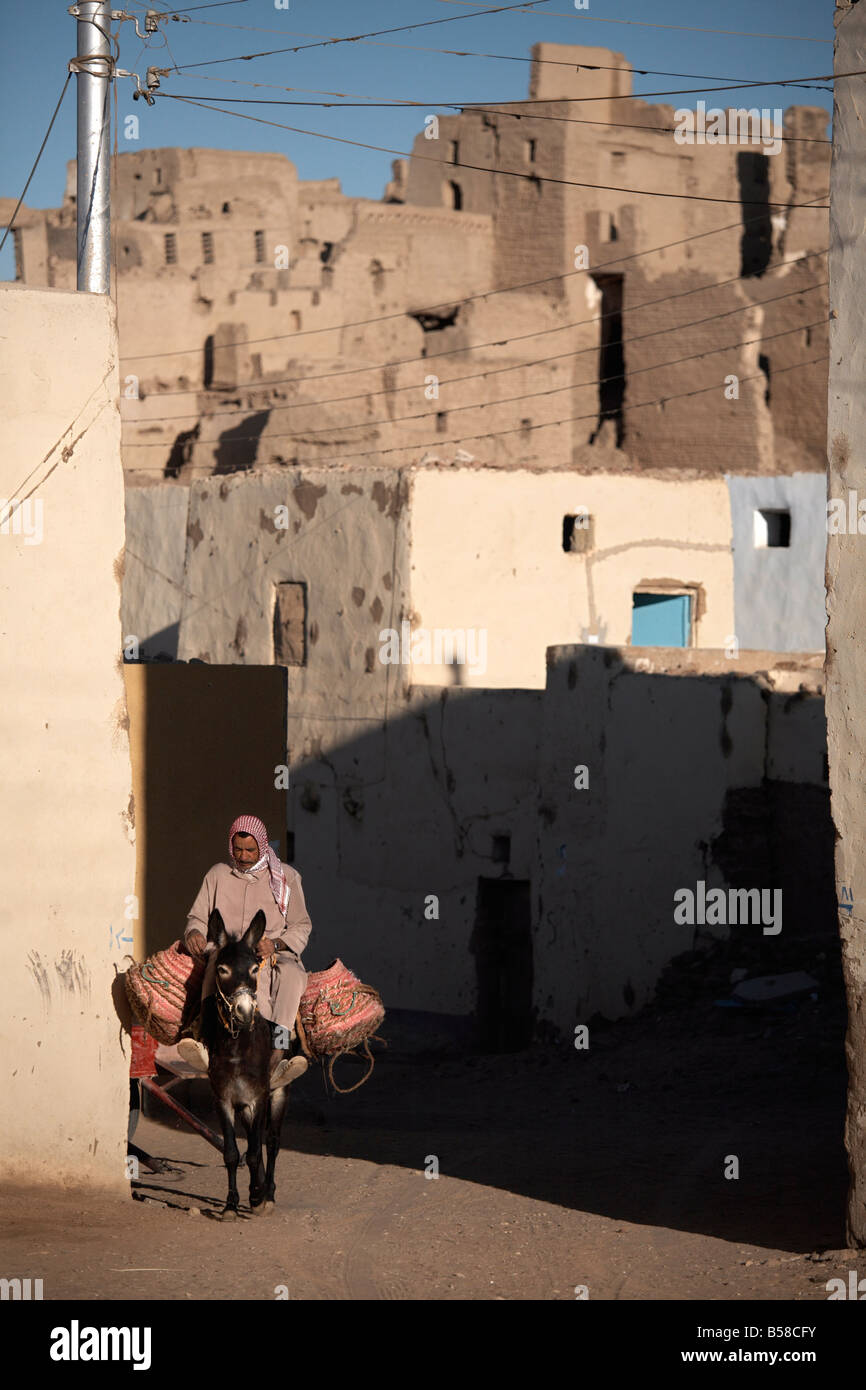 A man rides his mule through the streets of Al-Qasr, Dakhla Oasis ...