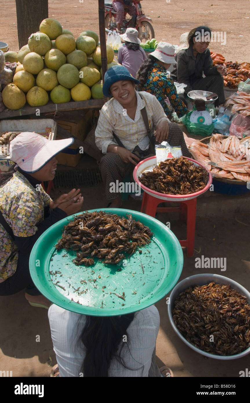 Crickets hi-res stock photography and images - Alamy