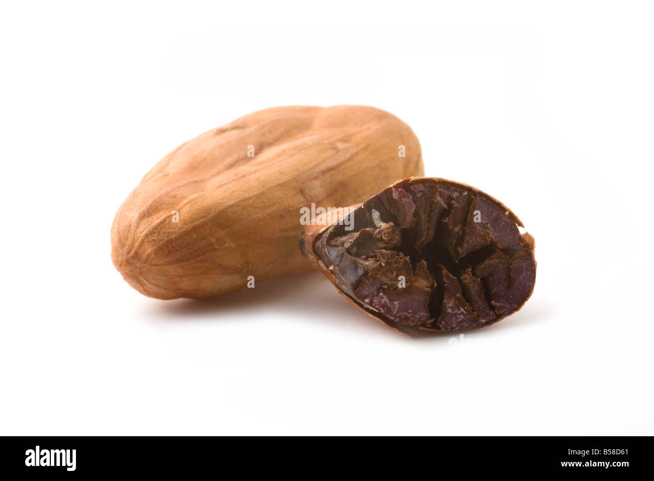 Cocoa bean cut in half Cut Out Stock Images & Pictures - Alamy