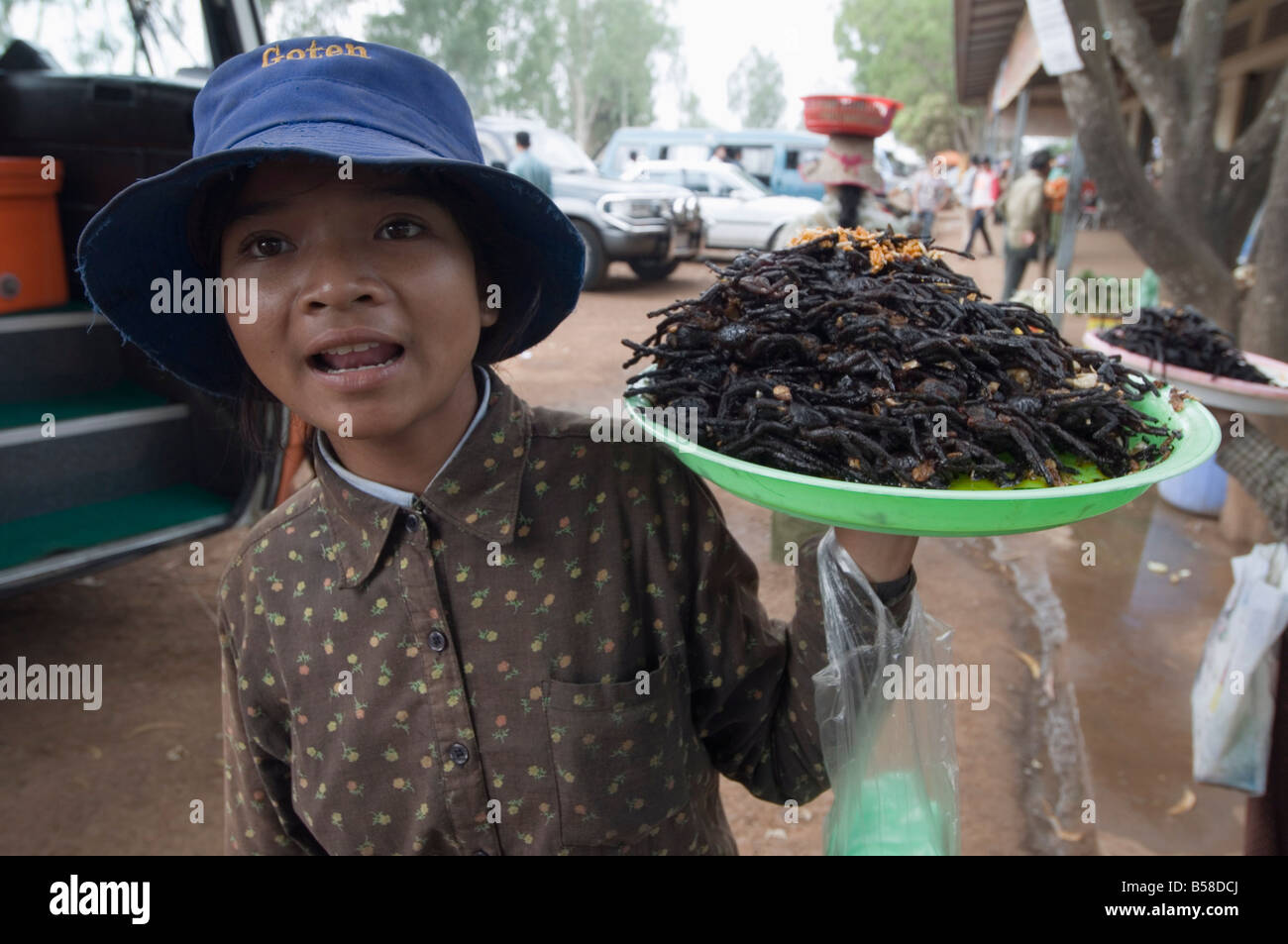 Eating insects hi-res stock photography and images - Alamy