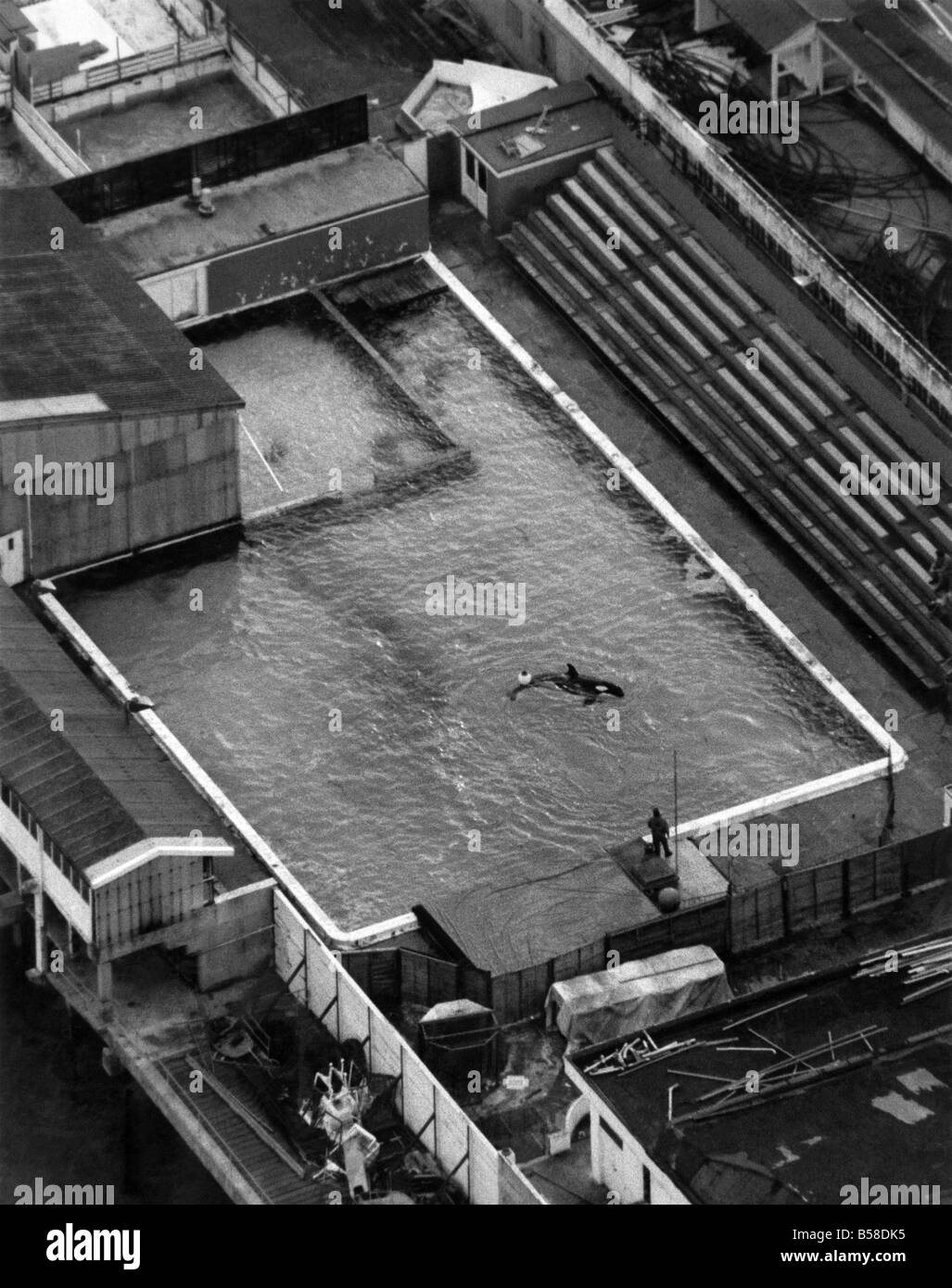1980s swimming pool Black and White Stock Photos & Images - Alamy