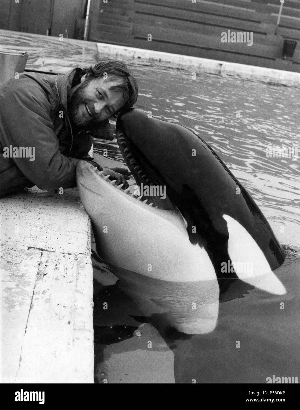 Killer whale and trainer hi-res stock photography and images - Alamy