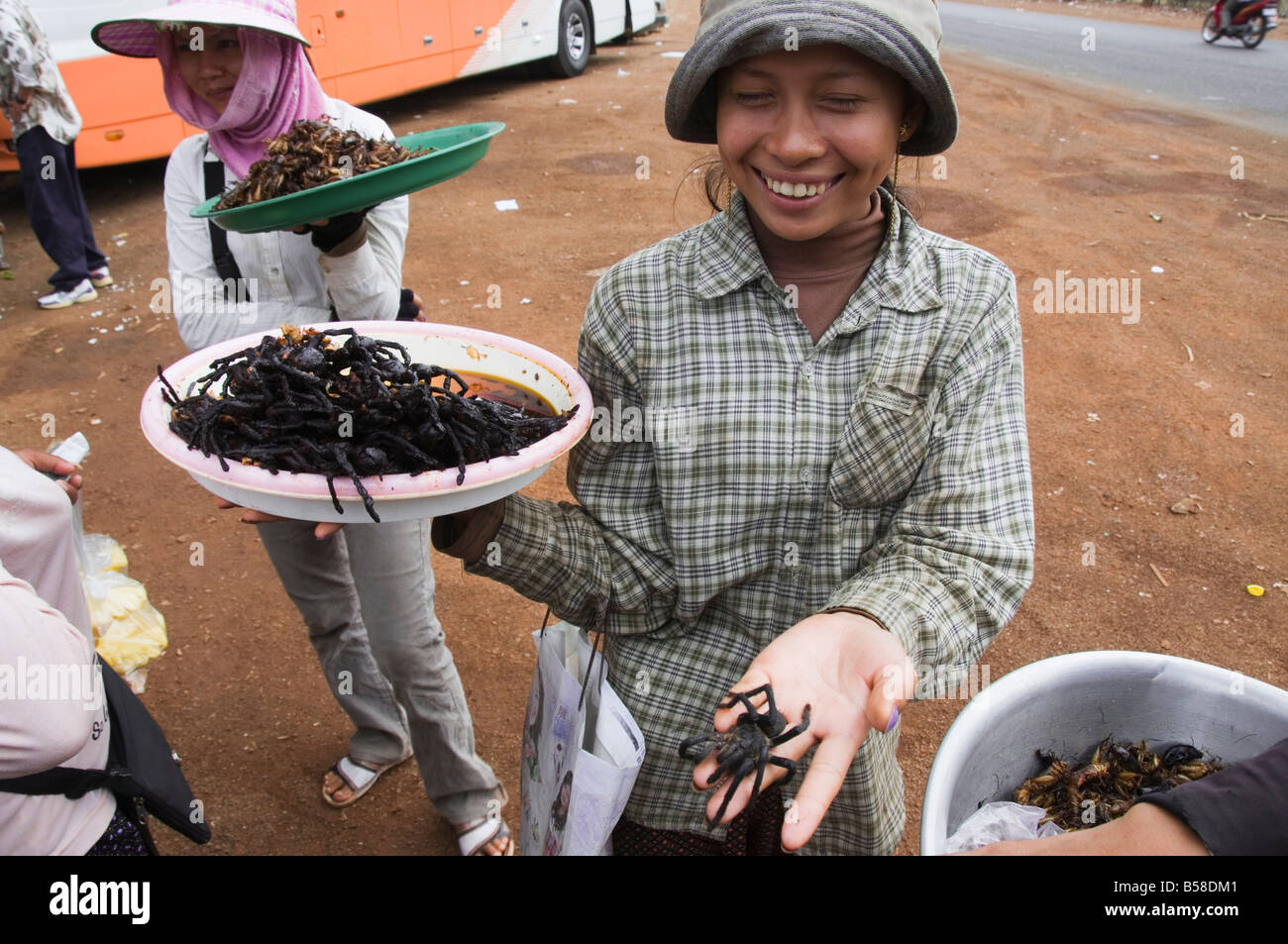 Eating insects hi-res stock photography and images - Alamy