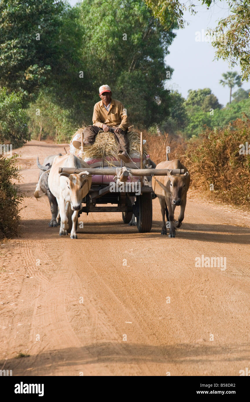 Ox cart cambodia hi-res stock photography and images - Alamy