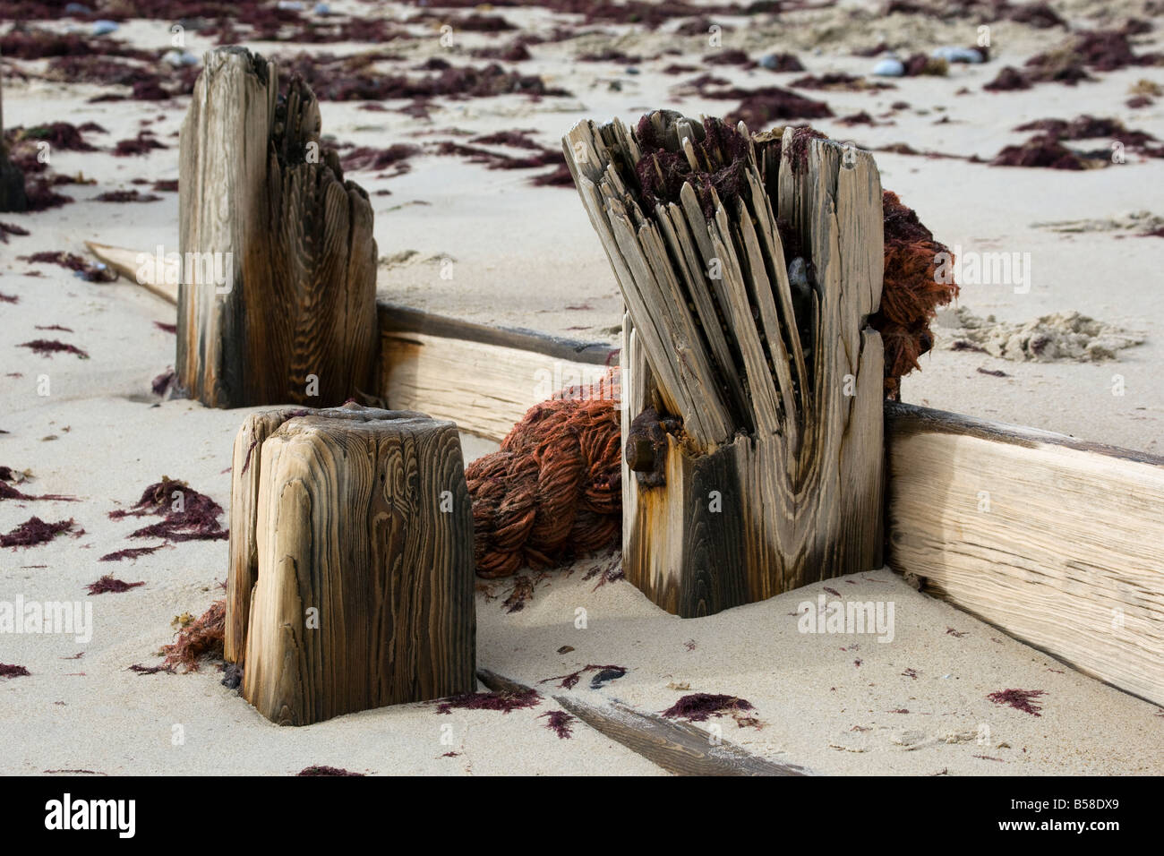 Beach groynes immersed in sand, Norfolk Stock Photo - Alamy