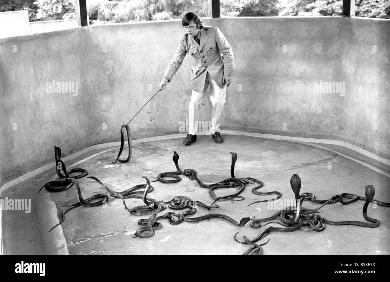 Snake handler zoo hi-res stock photography and images - Alamy
