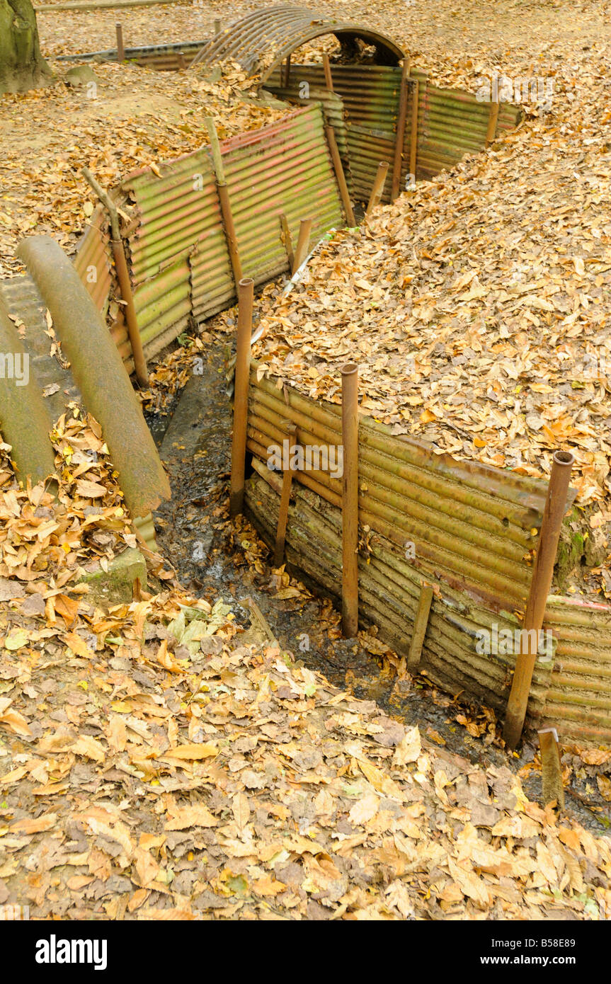 A section of the trench system at Hill 62 near Ypres, Blegium Stock ...