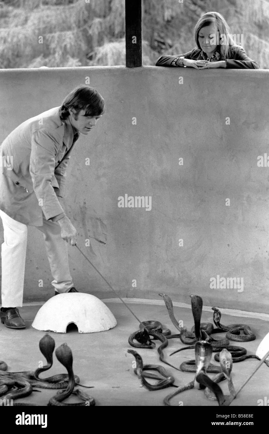 Snakes: Watched warily by his wife Patricia, snake handler Peter Waters ...