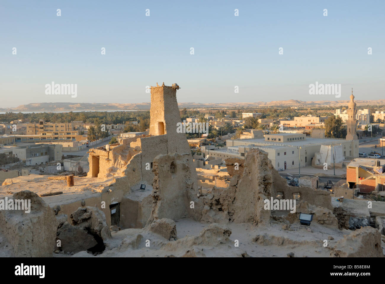 View from old town, Oasis of Shali, Egypt, North Africa, Africa Stock ...