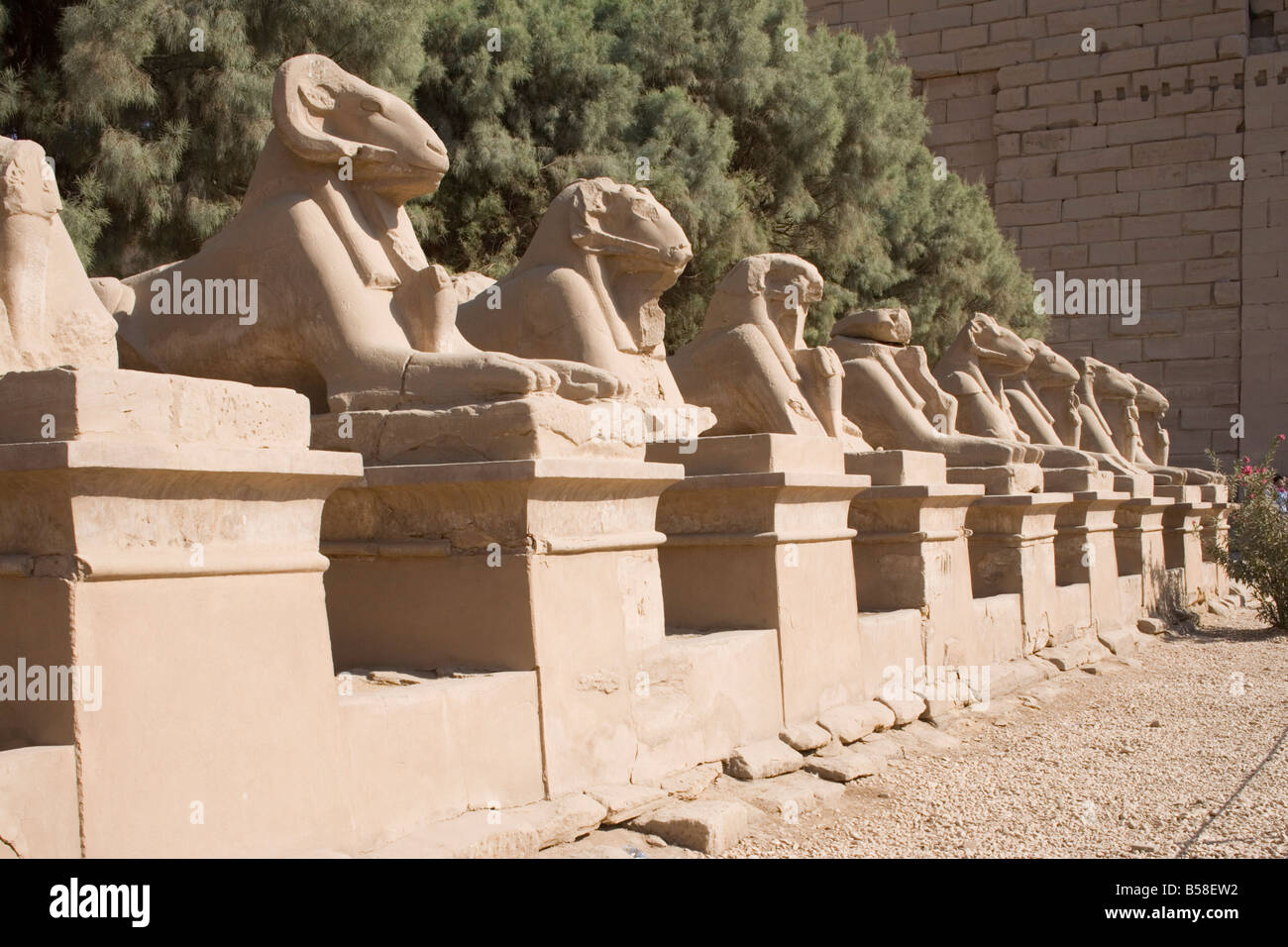 Avenue of Rams leading to temple precinct, Karnak, near Luxor, Thebes ...