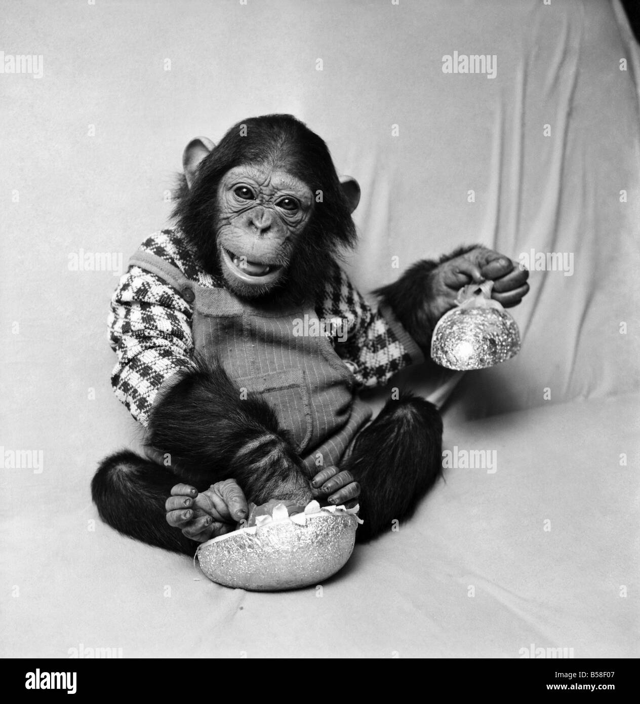 01526 hi-res stock photography and images - Alamy