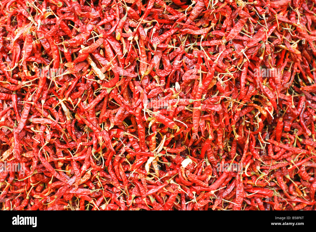 The colour red dry red peppers Goa India Stock Photo - Alamy
