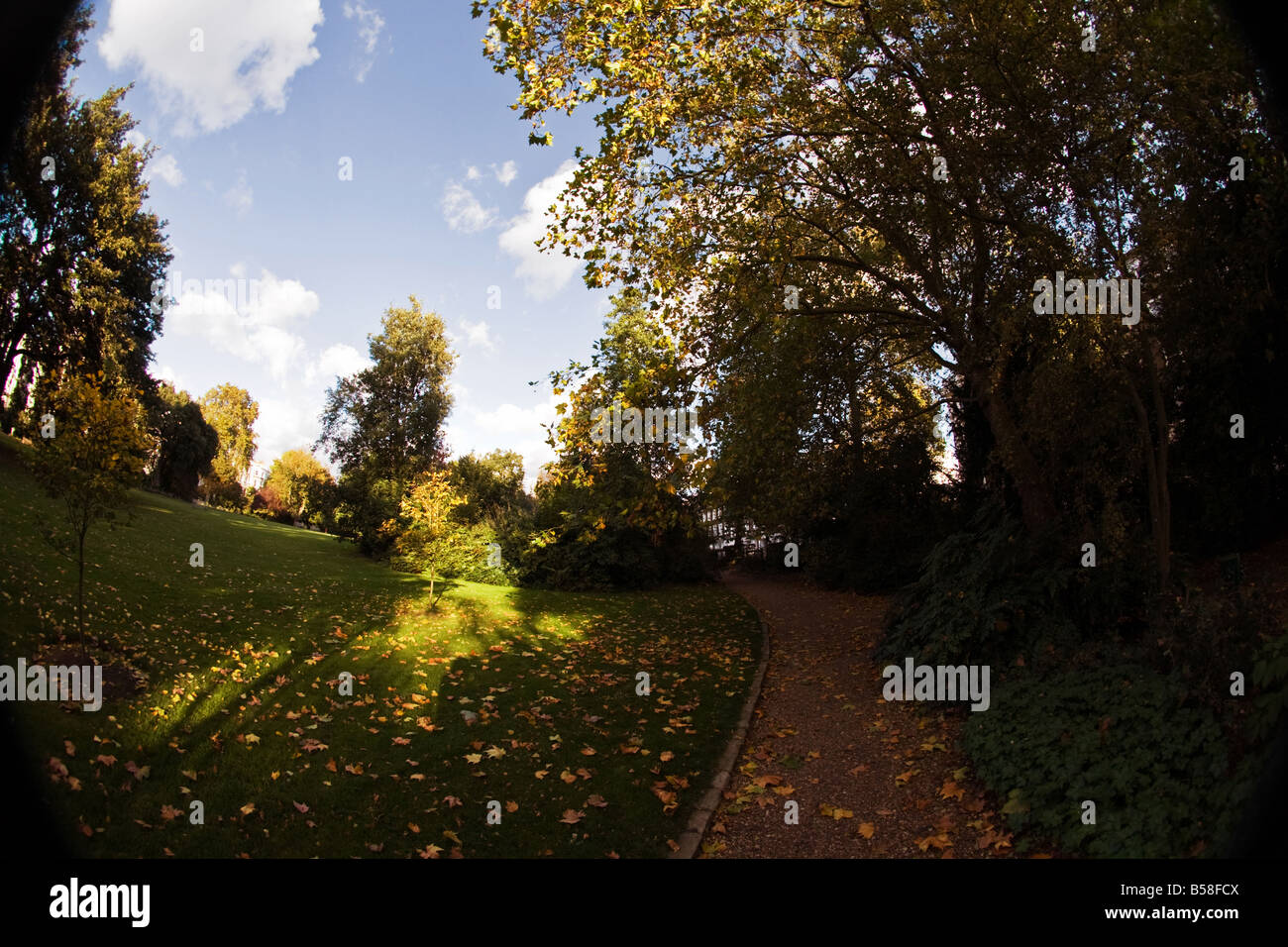 Autumn garden scene in Notting Hill, west London Stock Photo - Alamy