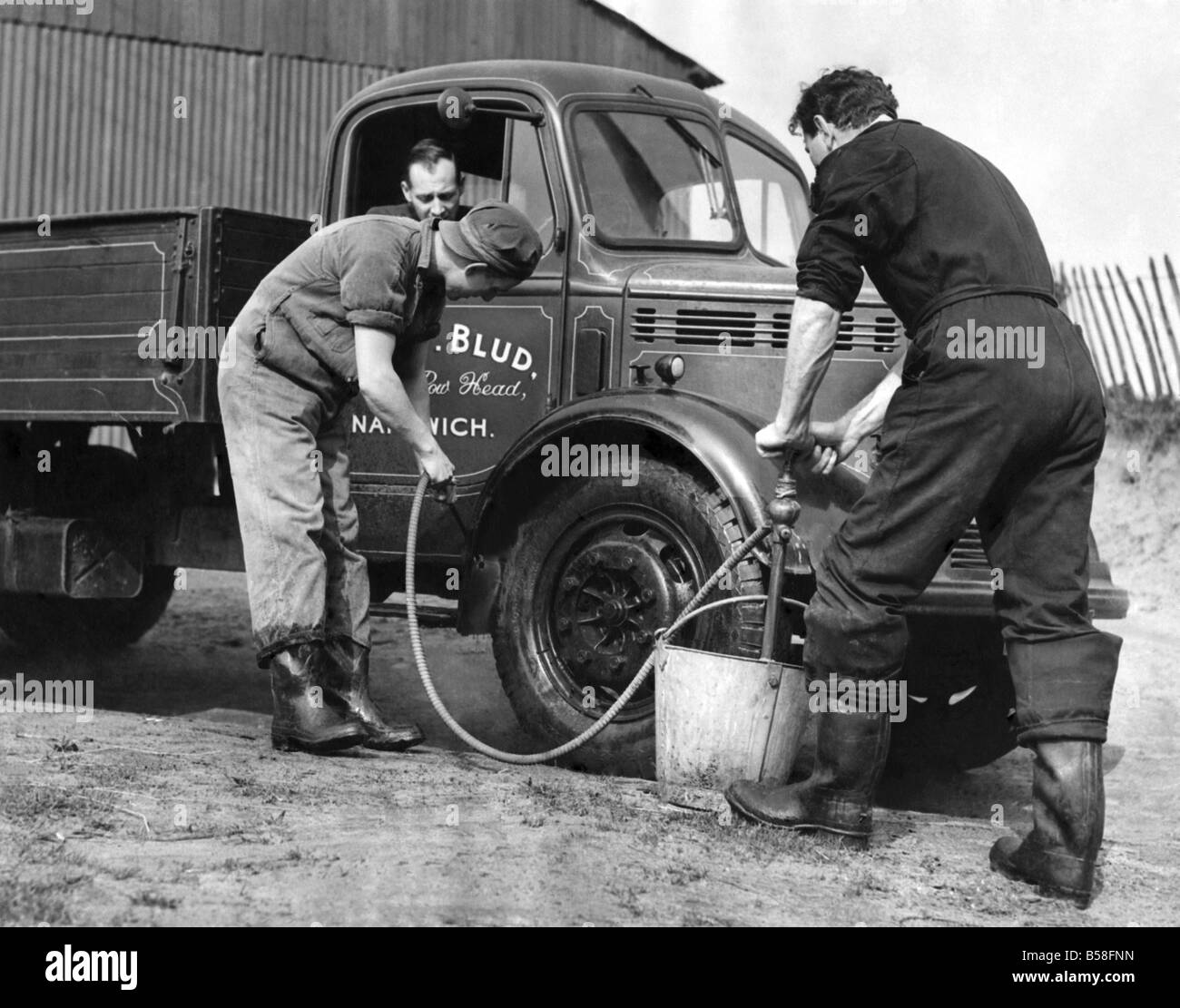 Vehicle hides hi-res stock photography and images - Alamy