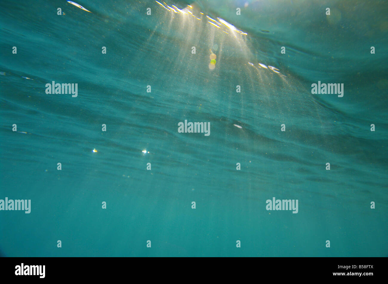 sun rays shines through water surface Stock Photo - Alamy