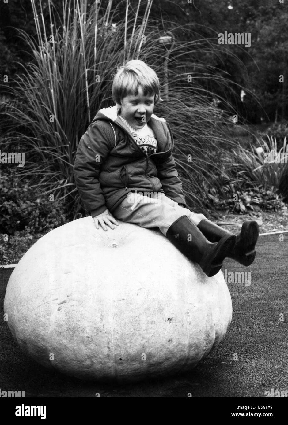 Sitting Pretty. Matthew McLean and the record-breaking pumpkin. October ...