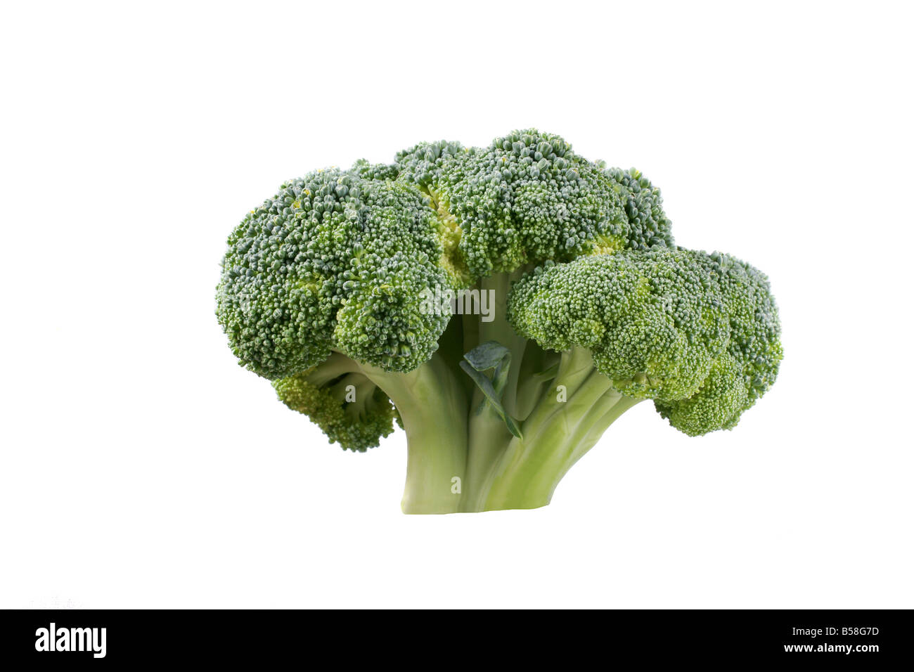Fresh green Broccoli Stock Photo - Alamy