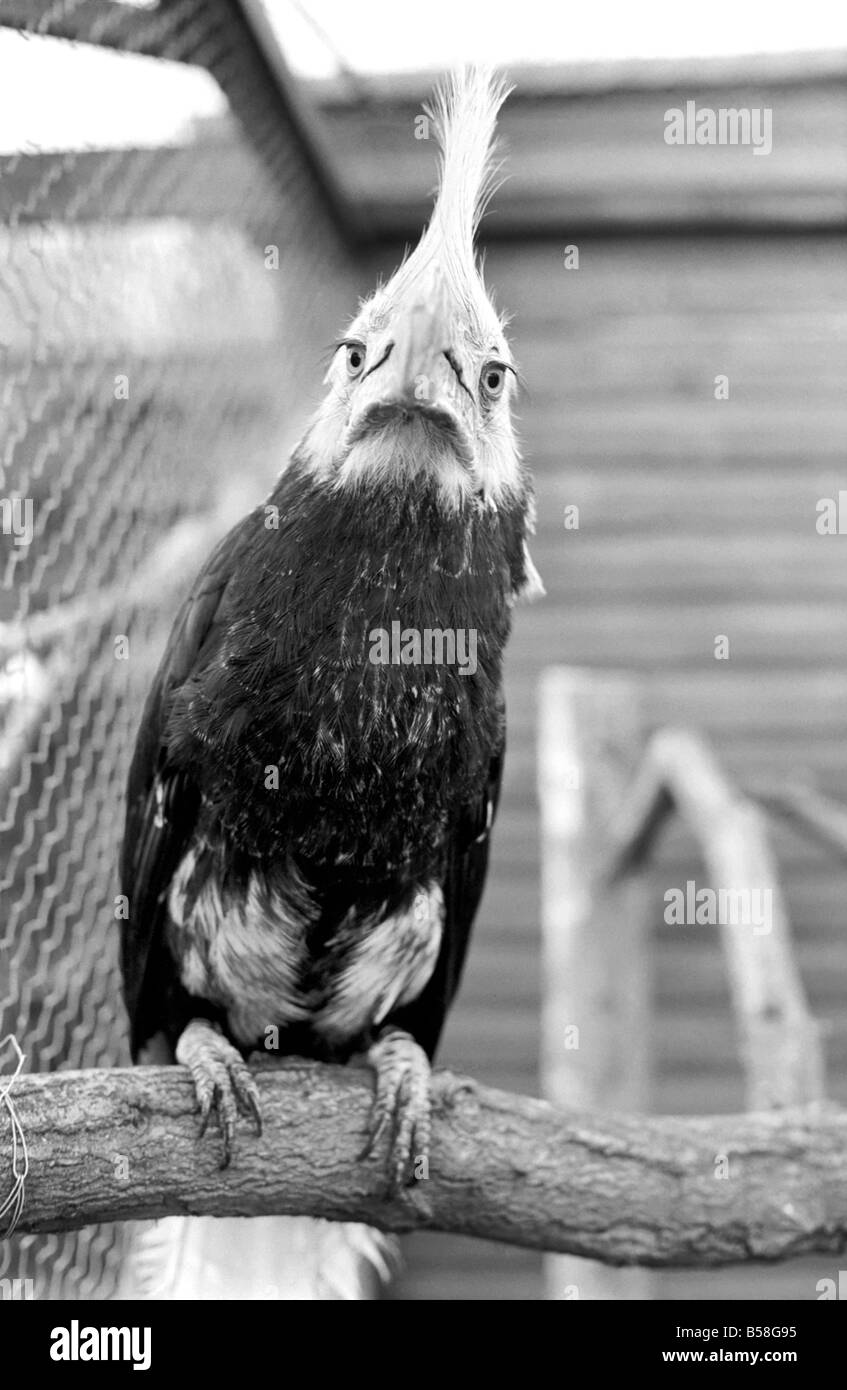 Bird 002 hi-res stock photography and images - Alamy