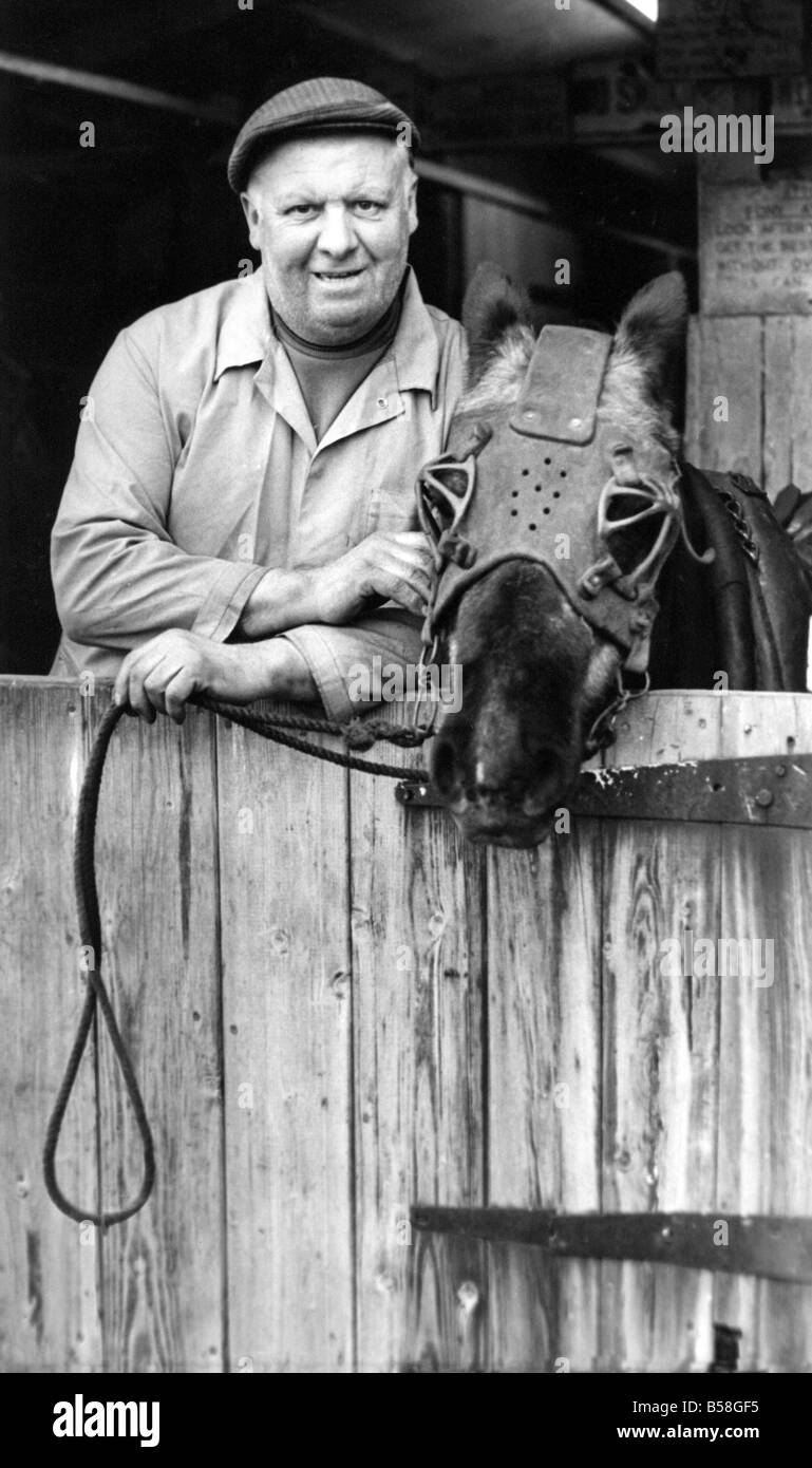 Pit Ponies High Resolution Stock Photography and Images - Alamy