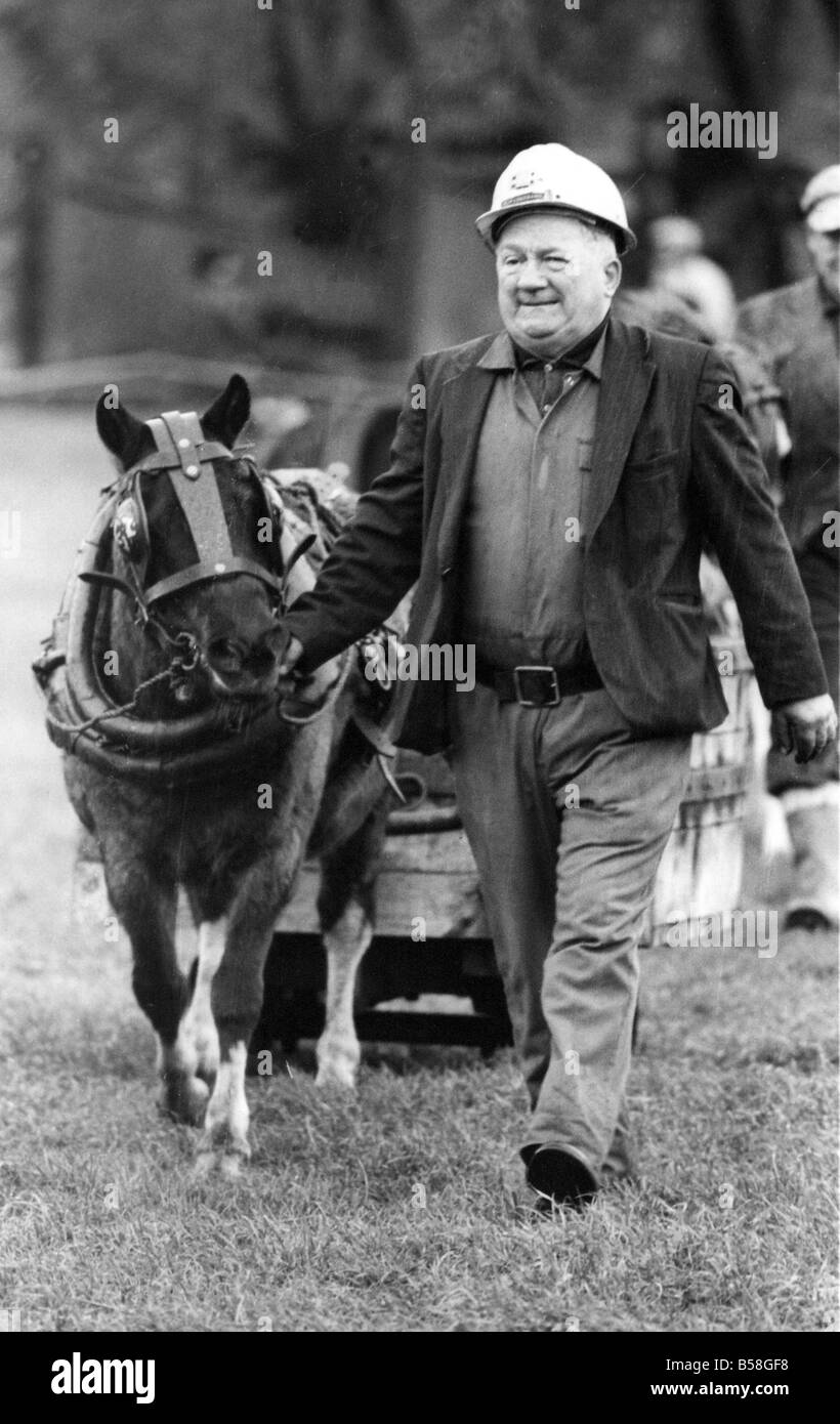 Pit pony Stevie and handler Alex Pickering Stock Photo - Alamy