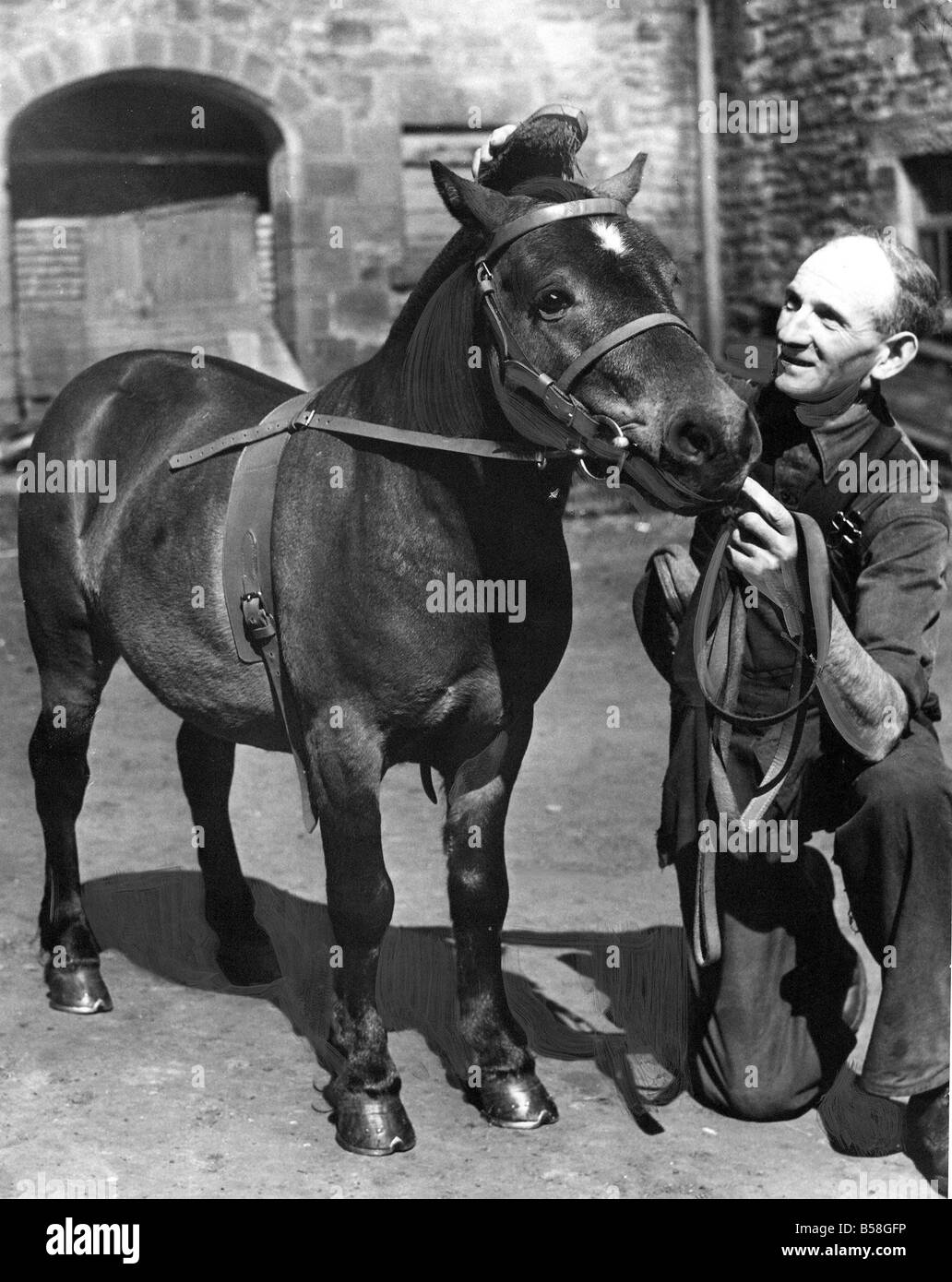 Team Colliery High Resolution Stock Photography and Images - Alamy